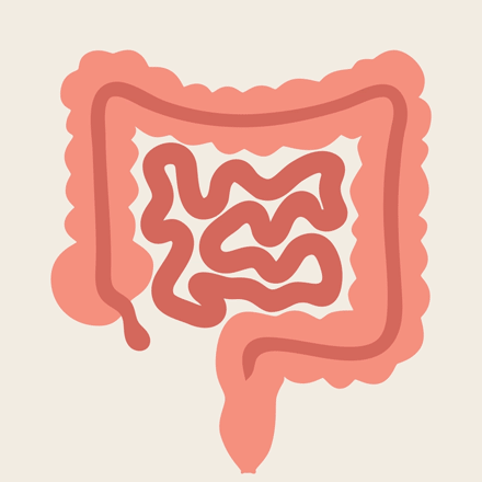 Nudge - All-in-one Supplement for IBS and SIBO